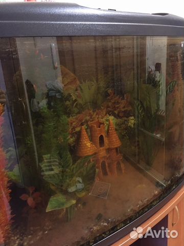 Аквариум