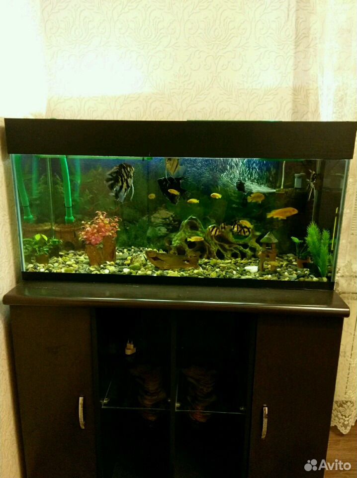 Аквариум 200л