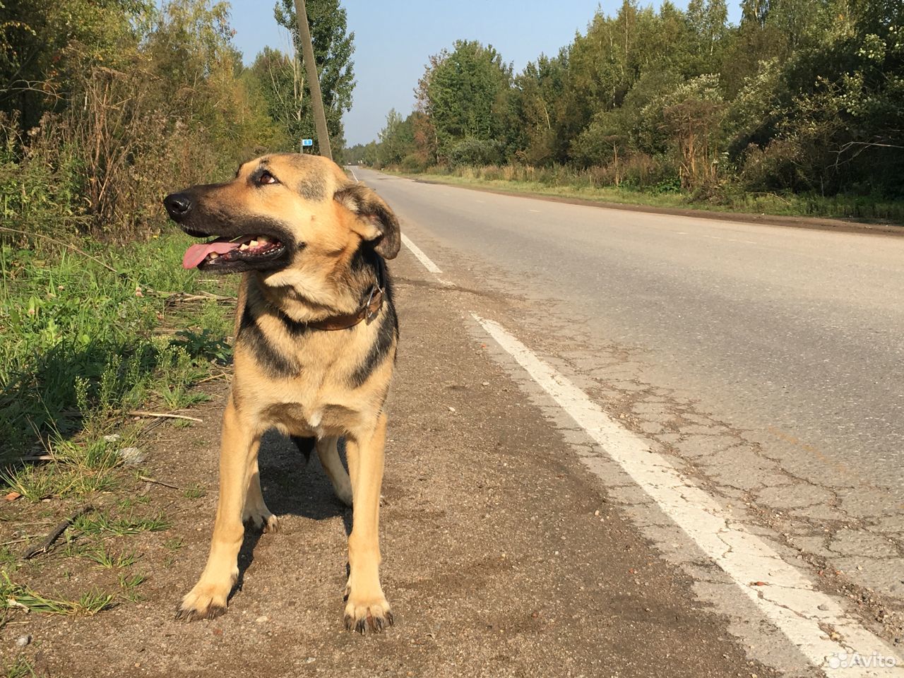 Великолепная девочка-охранница