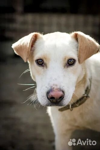 Макс ждёт своего человека