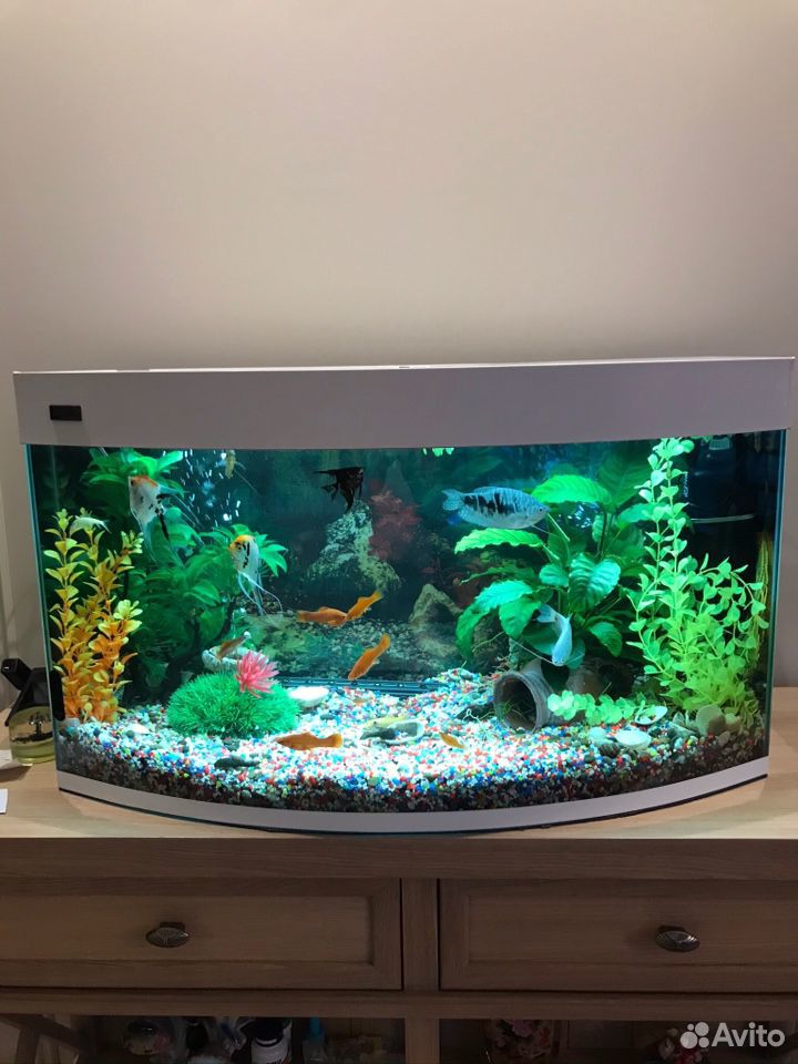 Отличный подарок детямпродаётся панорамный Белый А