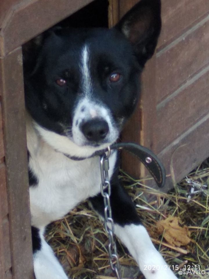 Приходится расставаться