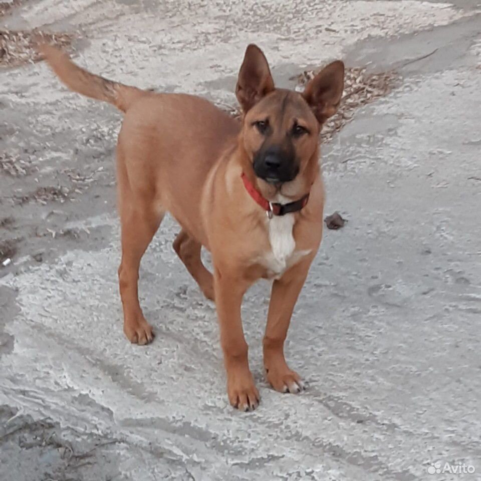 Красавица и умница