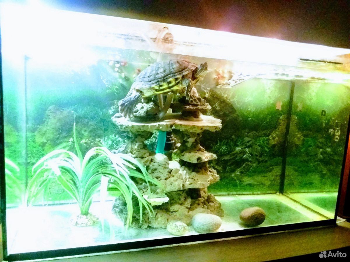 Аквариум 195 литров