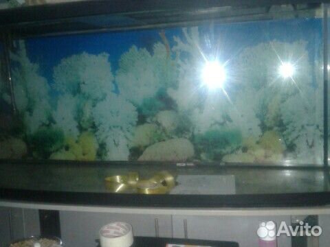 Аквариум 400л