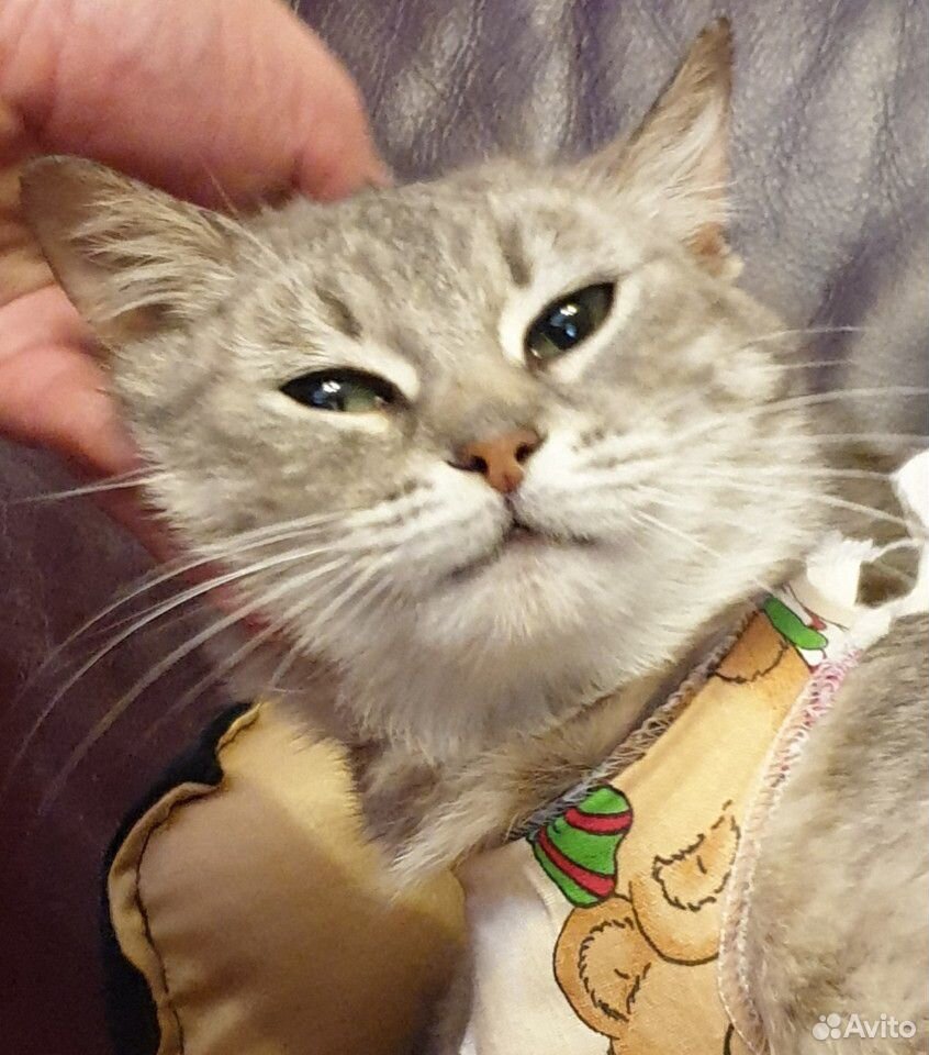 Зеленоглазой девочке нужна мама