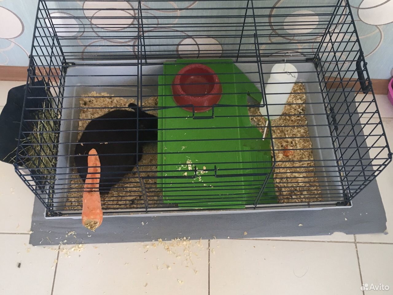 Молодая крольчиха с приданными