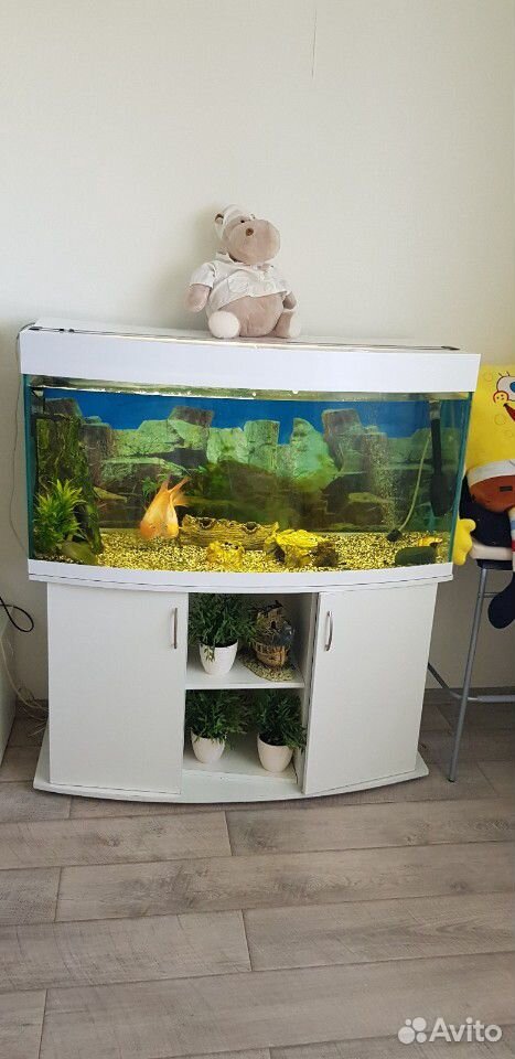 Аквариум