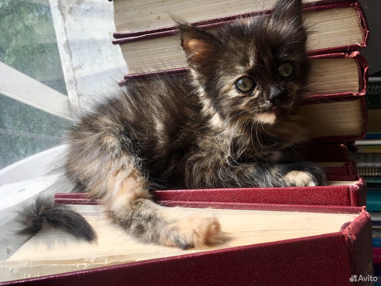 Чудо ребёнок Девочка ищет семью