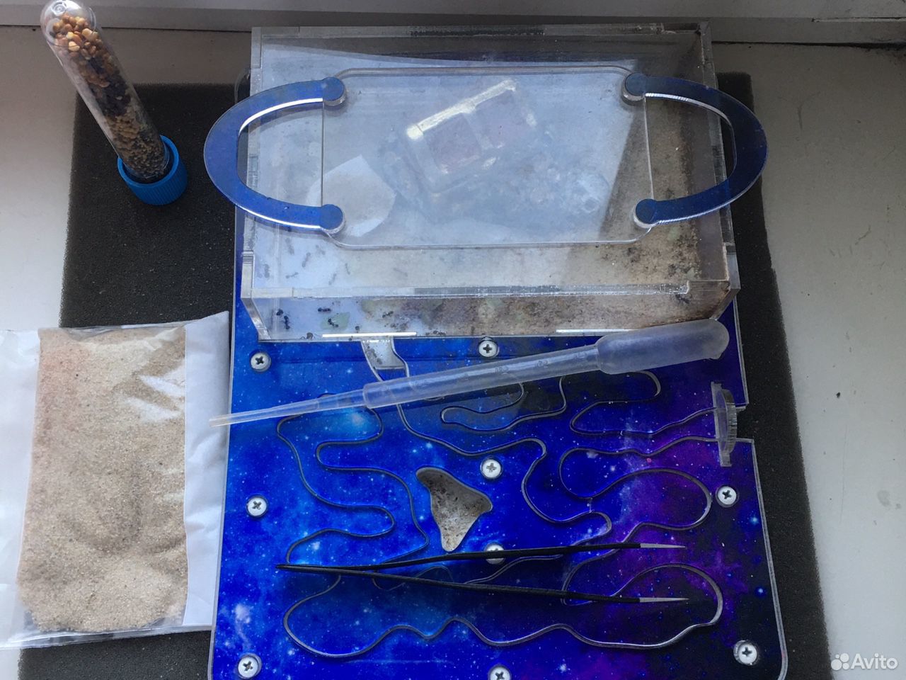 Муравьиная ферма