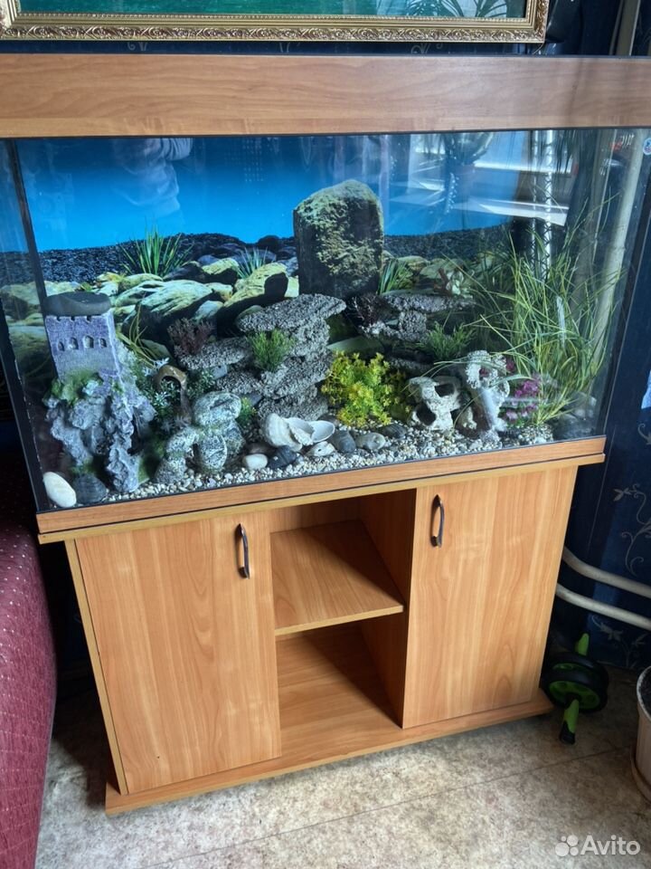 Аквариум