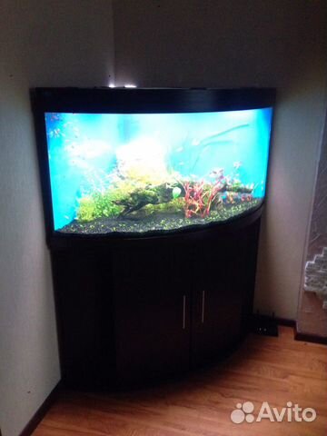 Продам аквариуим Bio design 350