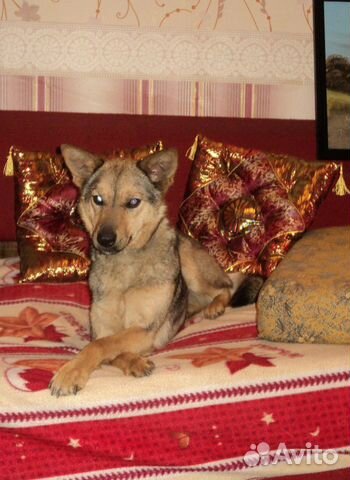 Минилаечка