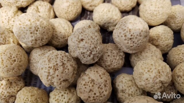 Наполнитель для фильтра