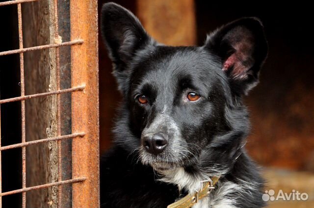 Милая добрая толстушка