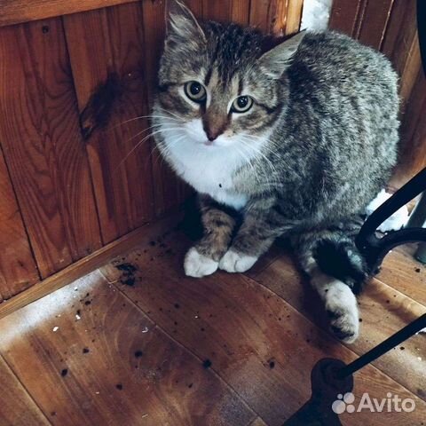 Европейская