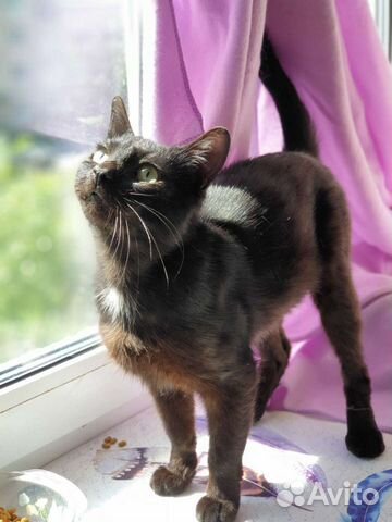 Ласковый брутальный парень