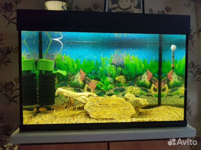 Аквариум