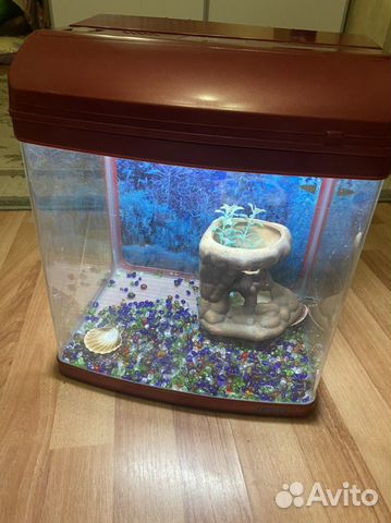 Аквариум