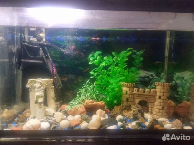 Аквариум