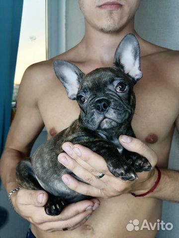 Французские бульки