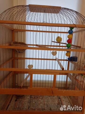 Кенар с клеткой