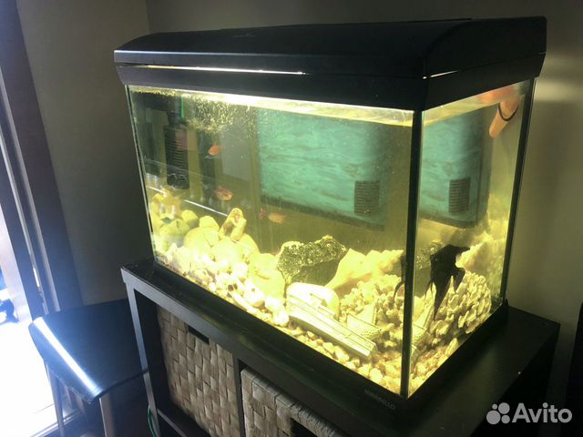 Продам аквариум с рыбками