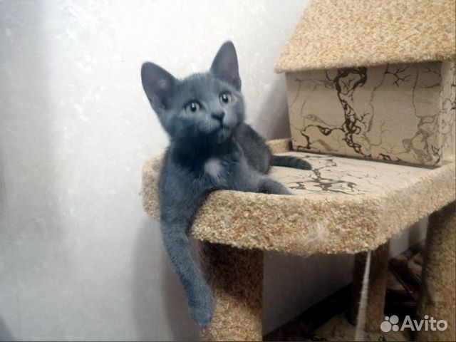 Малышки Соня и Боня 3 мес