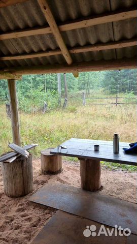 Пчелы (Отводки,семьи) Карника