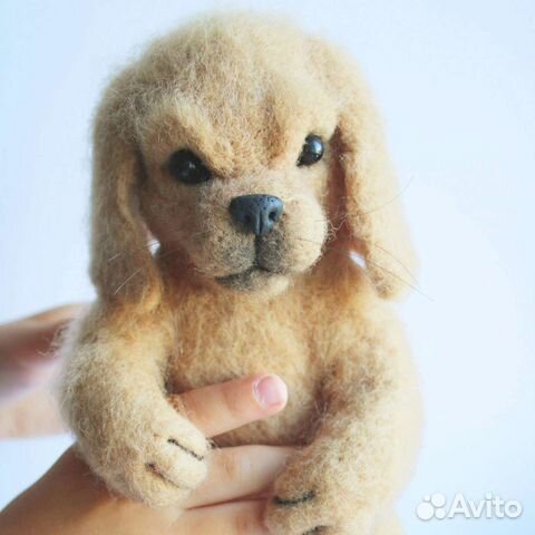 Собака щенок лабрадора