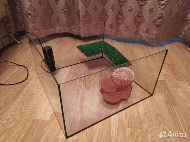 Черепашник