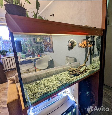 Аквариум 288 литров с тумбой