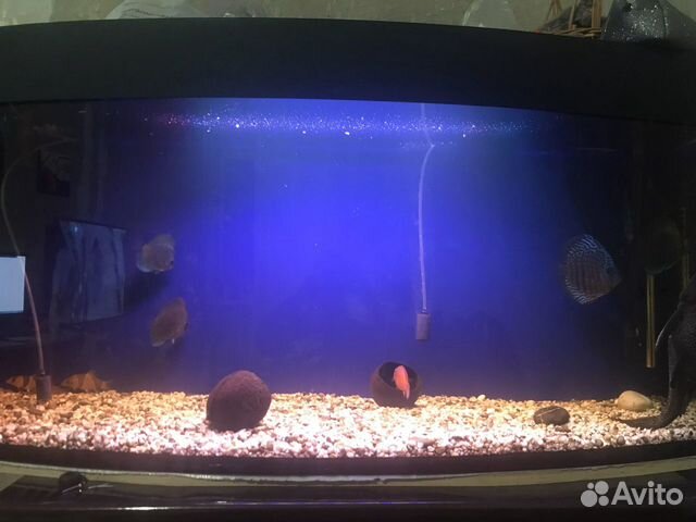 Аквариум 30 литров