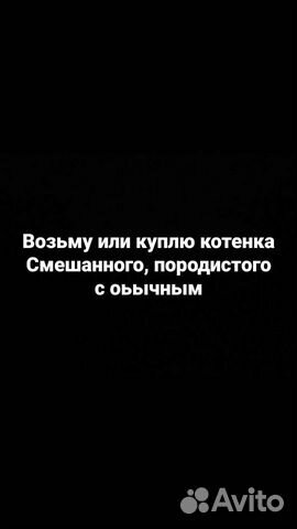 Возьму котёнка