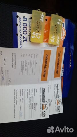 Продажа пчёл и т.д