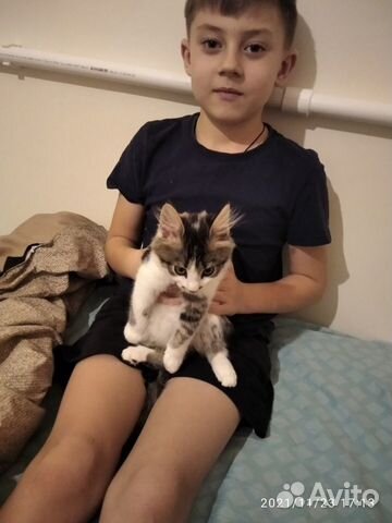 Подарю бесплатно