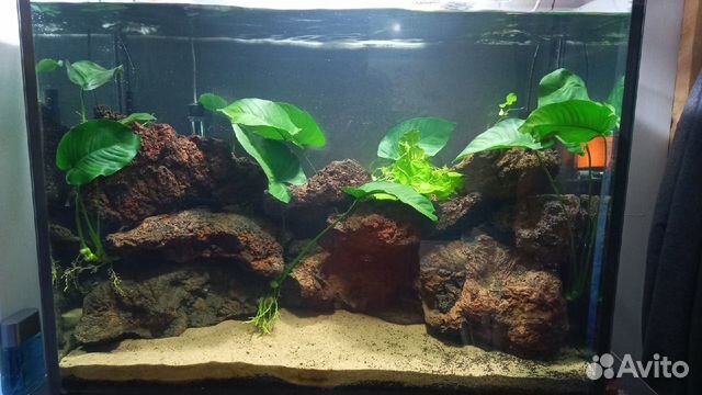 Грунт для аквариума. Лава вулканическая