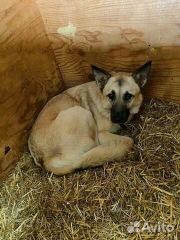 Не хочу умирать в приюте