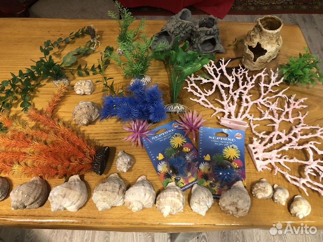 Аквариумные растения и декор