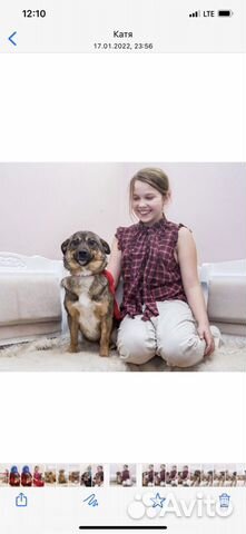 Небольшая собачка Роза 1 год