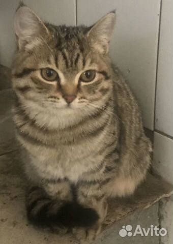 В самые добрые и ответственные ручки