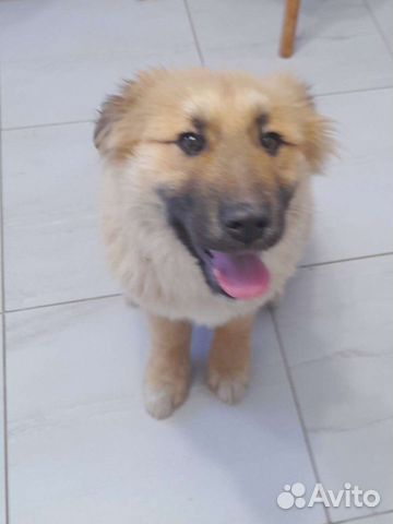 Марго ищет свою семью