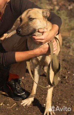 Скромная девочка Валенсия ждёт хозяина