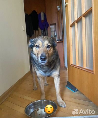 Ева ищет семью