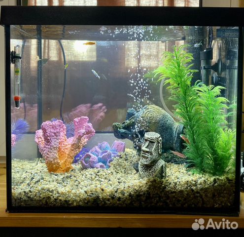 Аквариум aquael 45л 40х35х25см полный комплект
