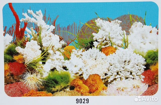 Фон для аквариума, оформление, дизайн