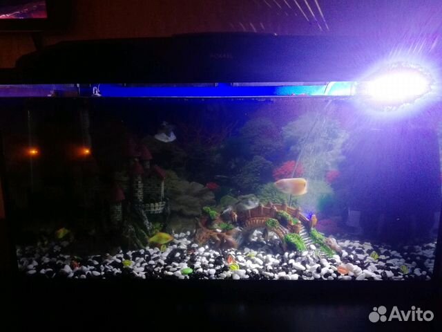 Аквариум aquael