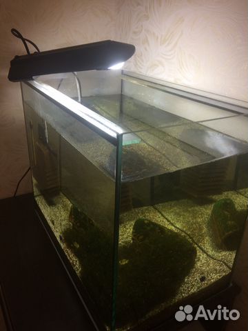 Аквариум 60л