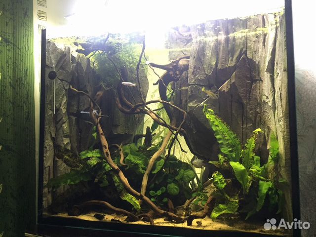 Объёмный фон в акварриум, террариум (обьемный, 3d)