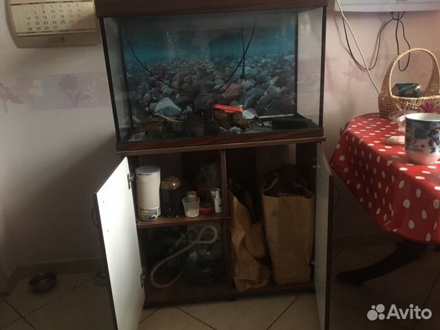 Аквариум и все что надо